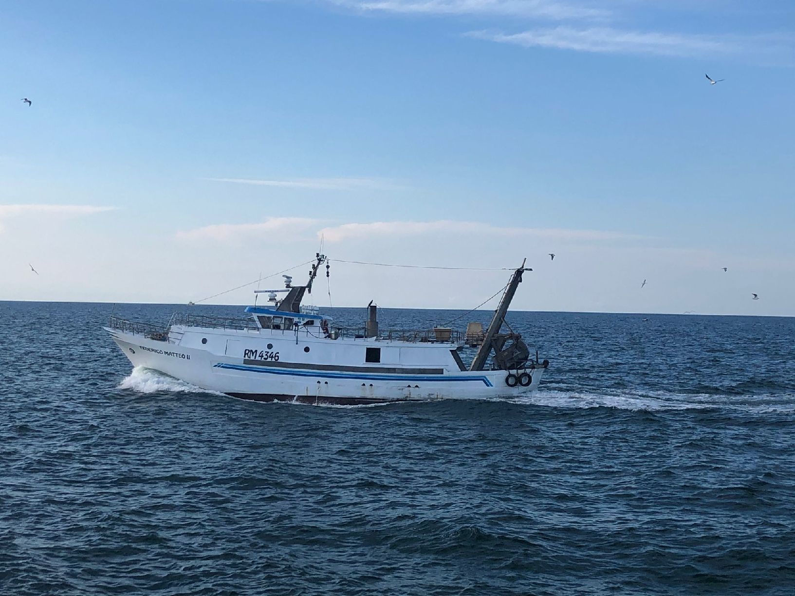 Passa dalla ricerca universitaria il futuro della pesca italiana ...